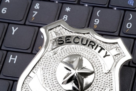 About – Executive Security Services